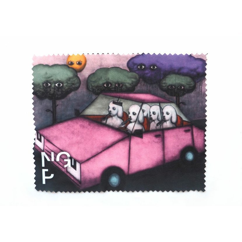 Pouzdro na brýle černé + hadřík Bolf